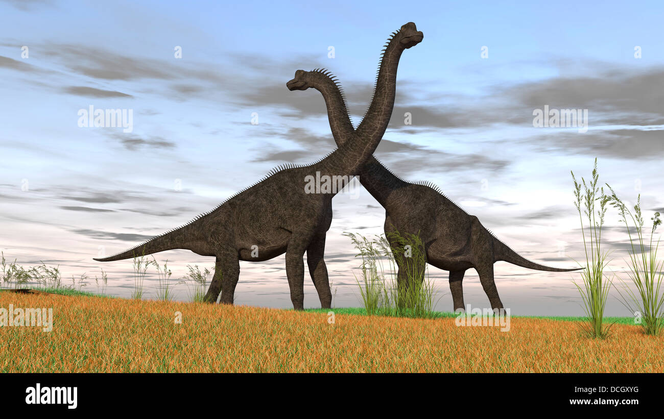 Two large Brachiosaurus in prehistoric grasslands Stock Photo - Alamy