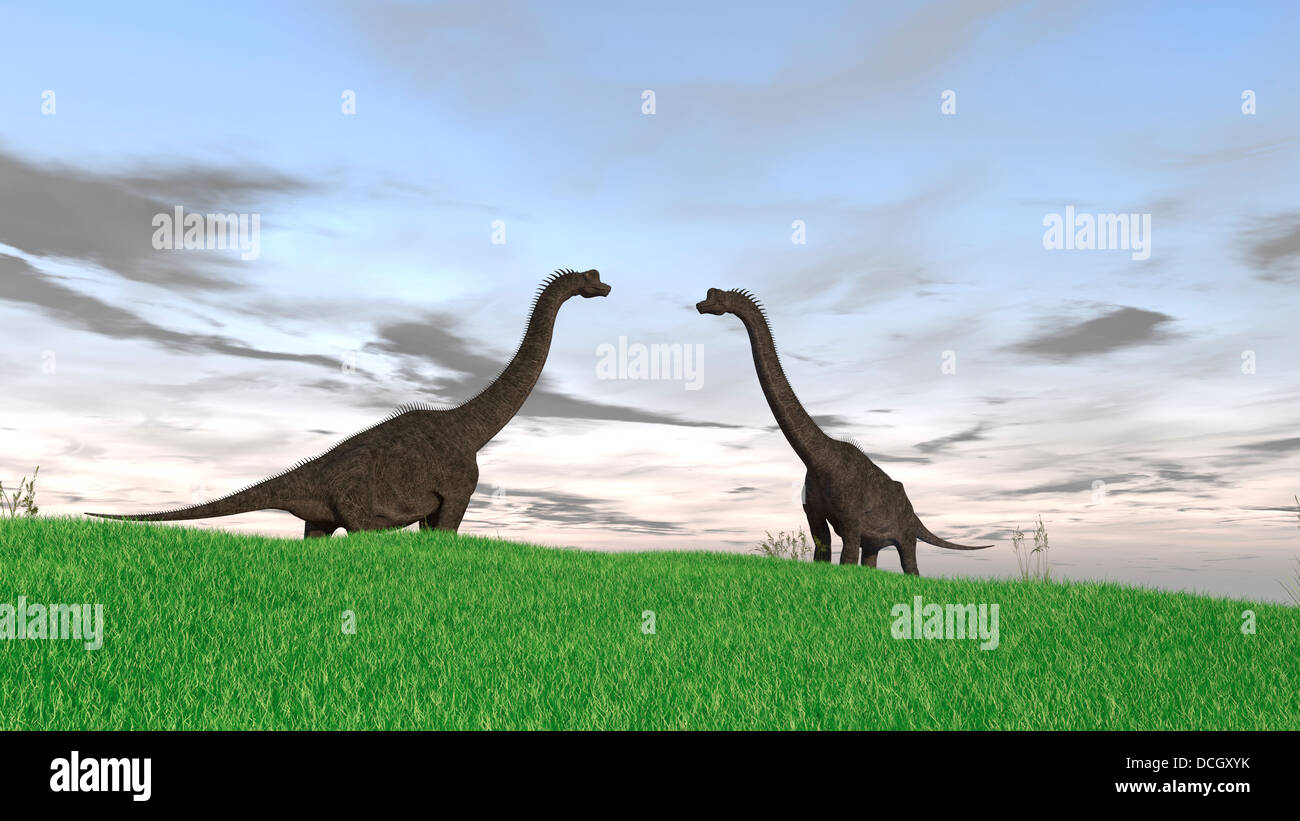 Two large Brachiosaurus in a grassy field Stock Photo - Alamy