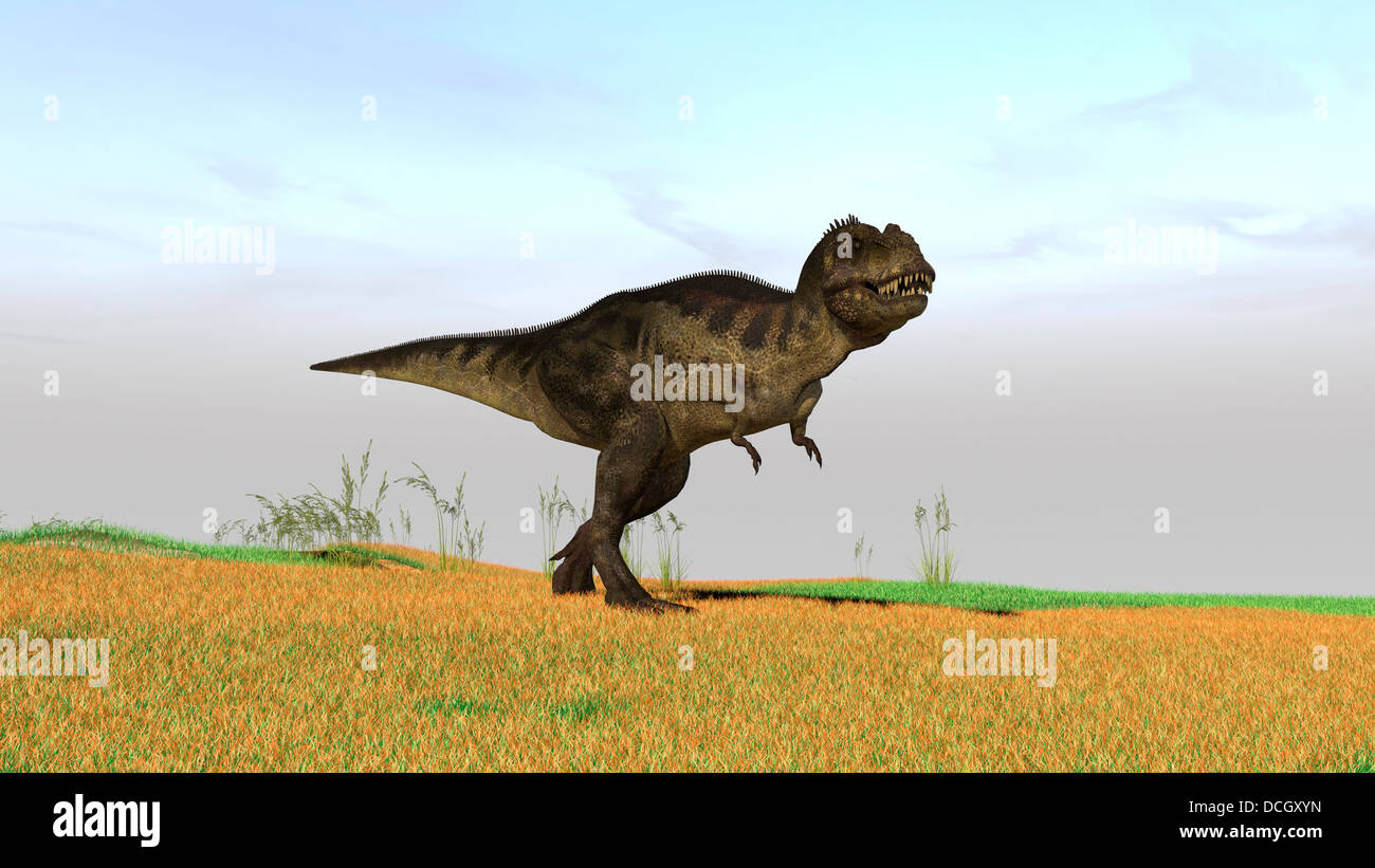 Tyrannosaurus Rex in a grassy field Stock Photo - Alamy