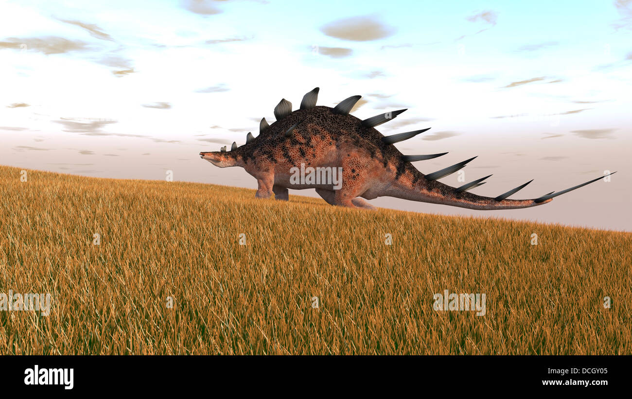 Kentrosaurus walking across a grassy field Stock Photo - Alamy