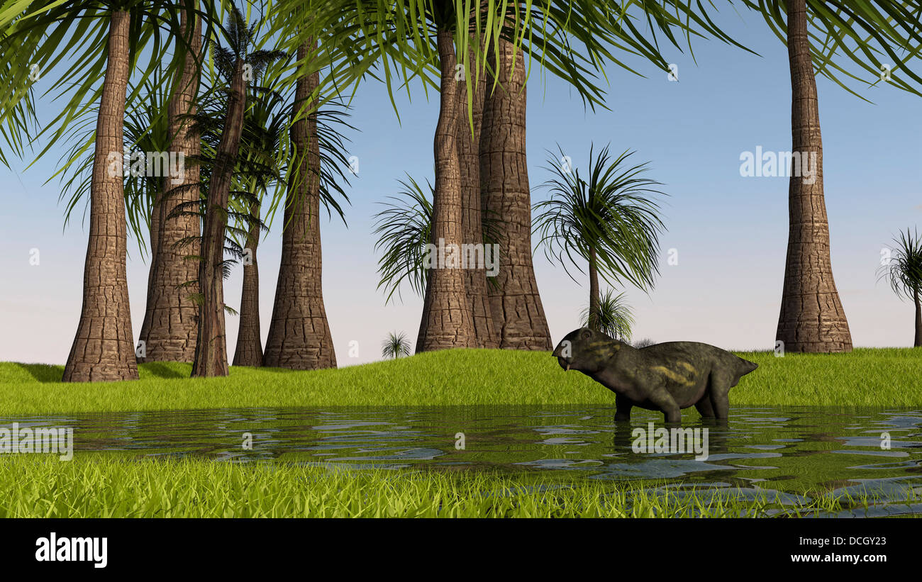 Lystrosaurus in shallow water Stock Photo - Alamy
