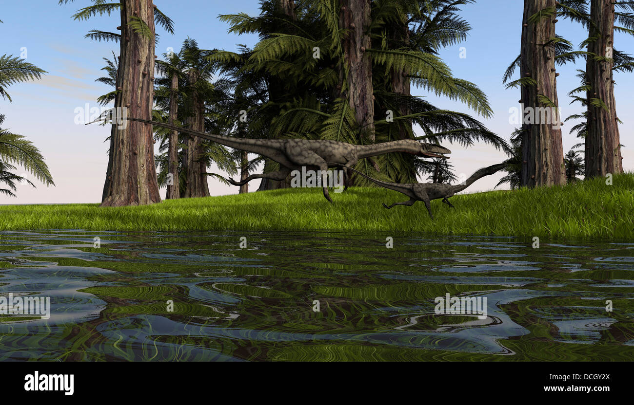 Dinosaur Swamp High Resolution Stock Photography and Images - Alamy