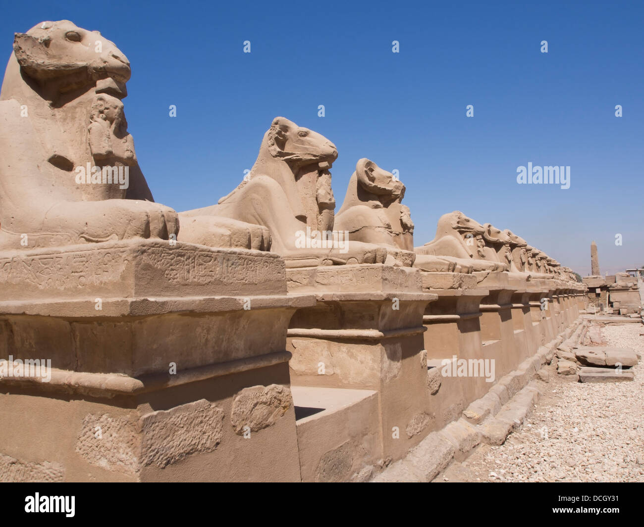 The avenue of Sphinx at Karnak Temple Egypt Stock Photo - Alamy