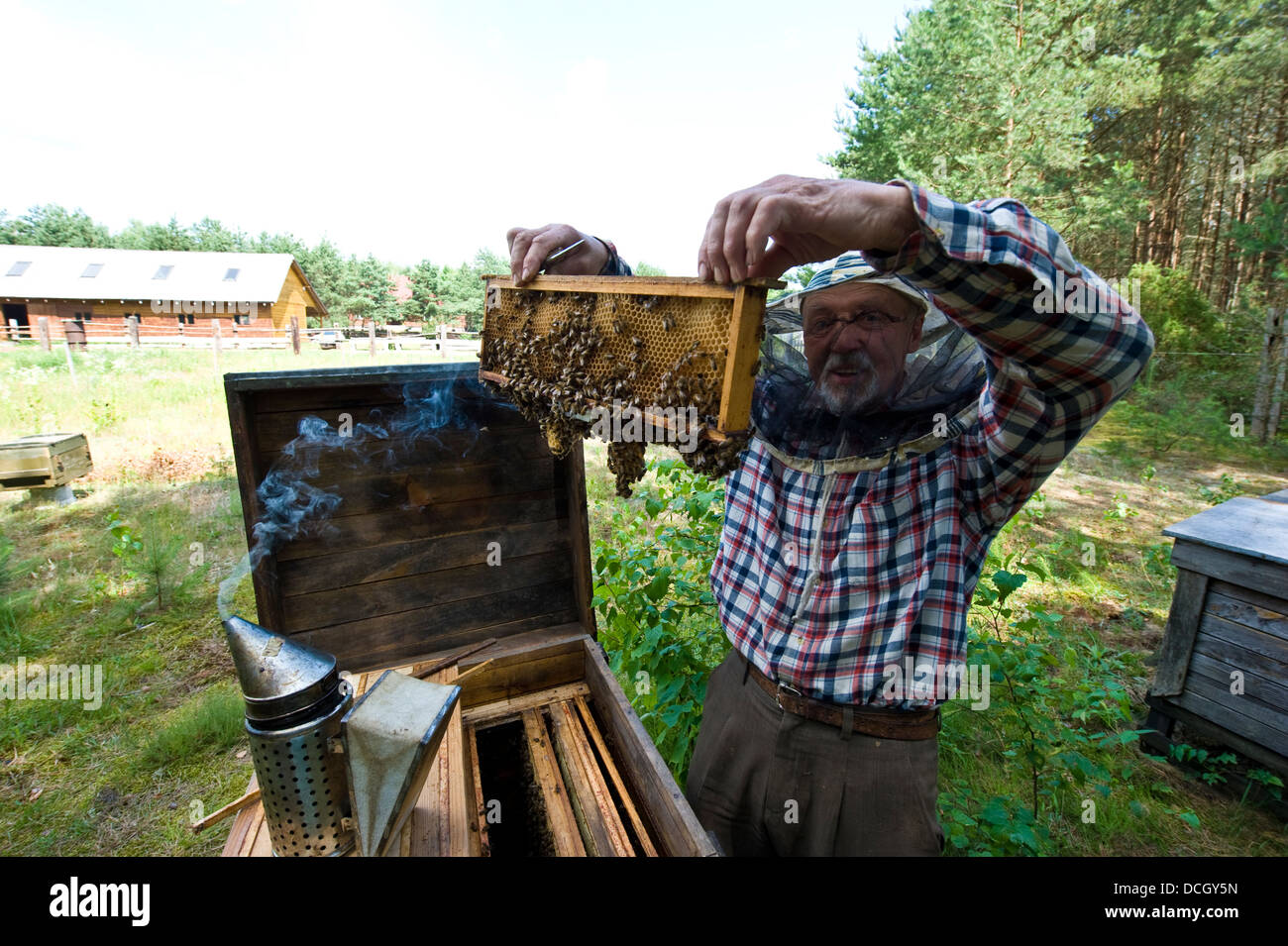 Forest apiary on Biebrza river in North Eastern Poland Stock Photo - Alamy