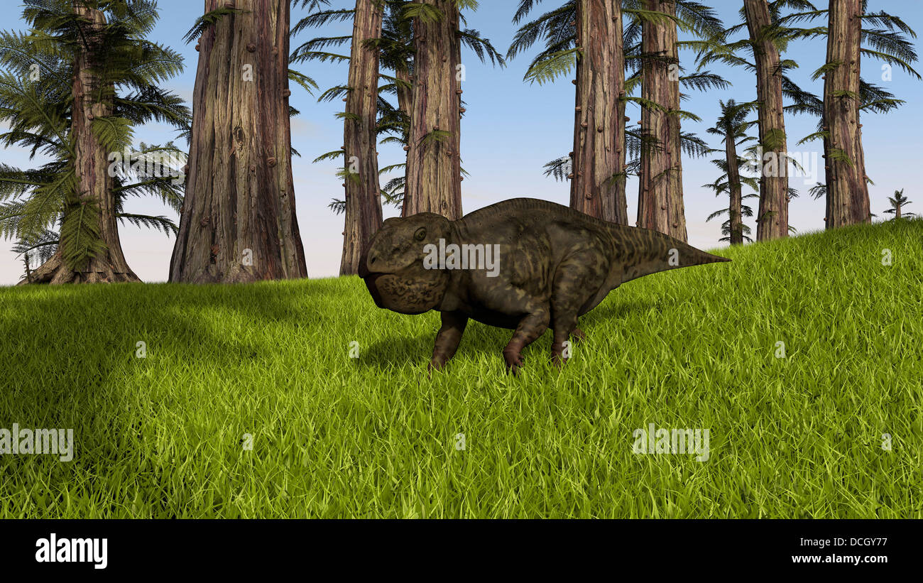 Udanoceratops walking across a grassy field Stock Photo - Alamy