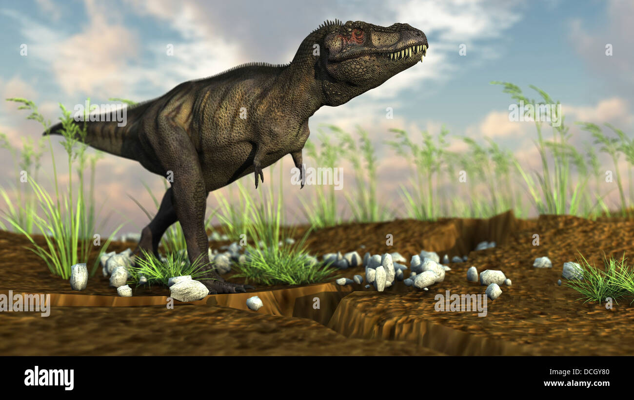 Tyrannosaurus Rex walking across desert terrain Stock Photo - Alamy