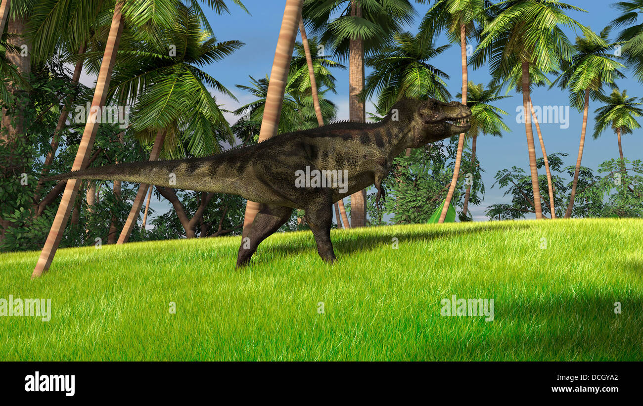 Tyrannosaurus Rex in a grassy field Stock Photo - Alamy