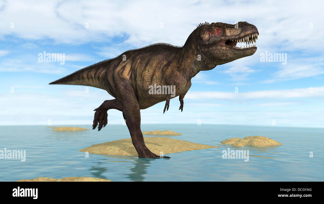 Tyrannosaurus Rex running through shallow water Stock Photo - Alamy