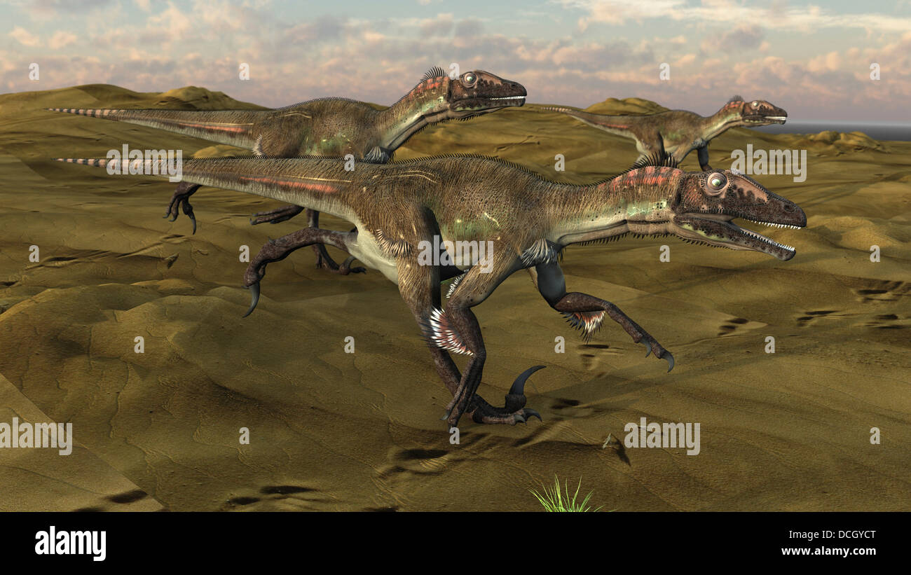 Three Utahraptors running across a desert landscape Stock Photo - Alamy