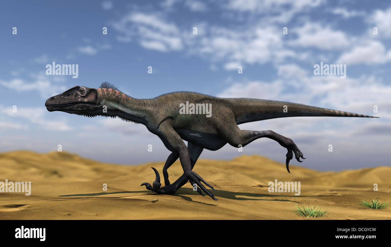 Utahraptor running across a barren desert Stock Photo - Alamy