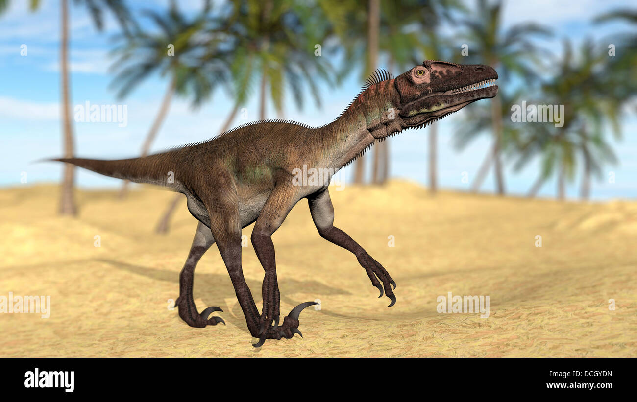 Utahraptor in a prehistoric environment Stock Photo - Alamy