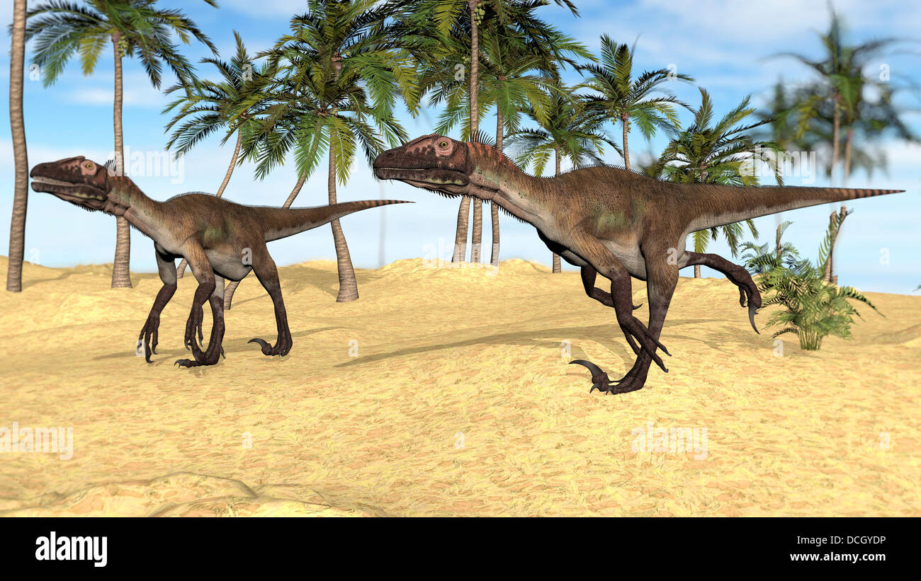 Two Utahraptors in a prehistoric environment Stock Photo - Alamy
