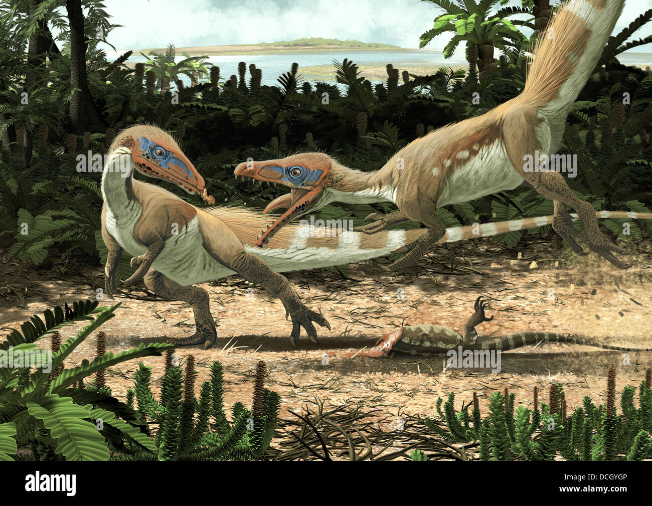 Two Sciurumimus albersdoerferi fighting for the carcass of a lizard on ...