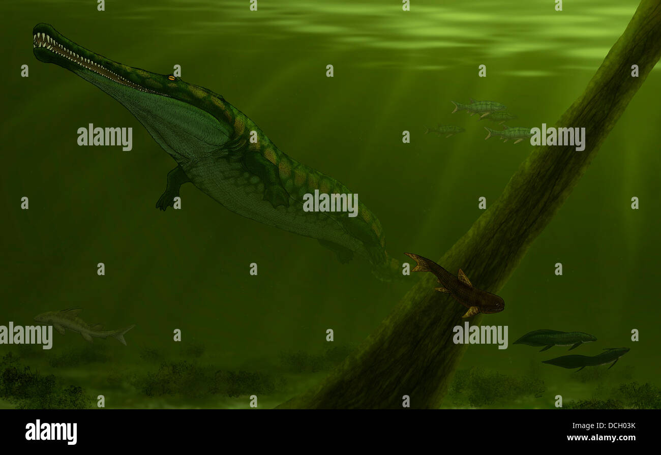 Pedra de Fogo Formation, featuring Prionosuchus, Basilichthys, lungfish ...