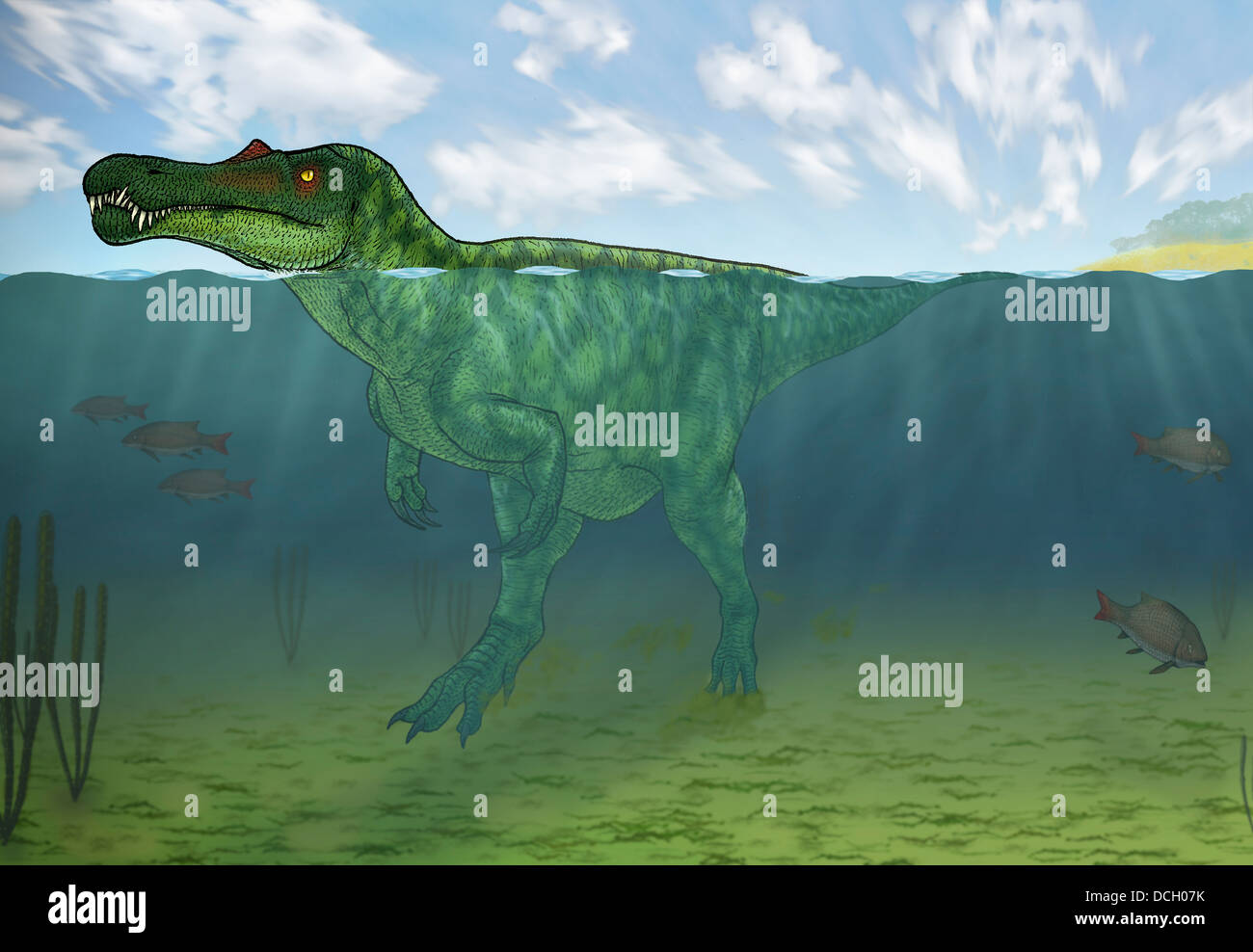 Baryonyx High Resolution Stock Photography and Images - Alamy