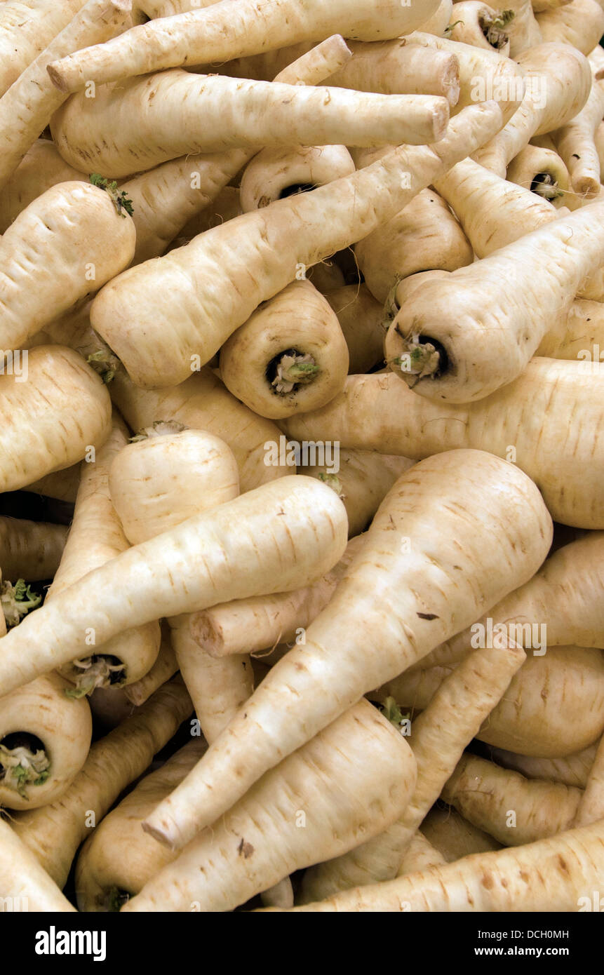 Parsnip Leaves Root High Resolution Stock Photography and Images - Alamy