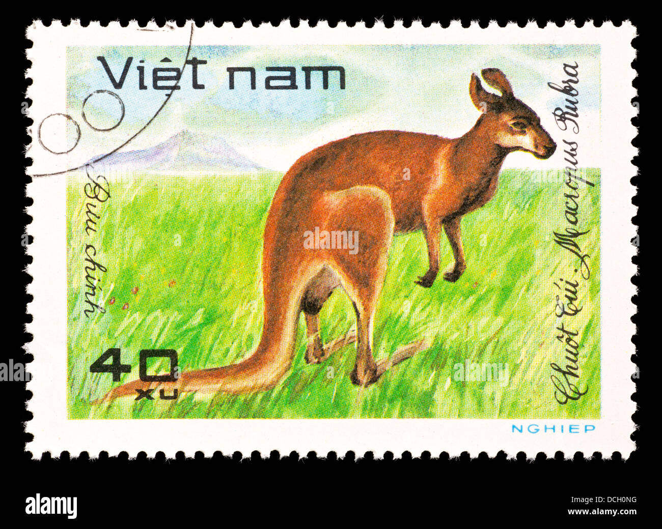 Postage stamp from Vietnam depicting a kangaroo Stock Photo - Alamy
