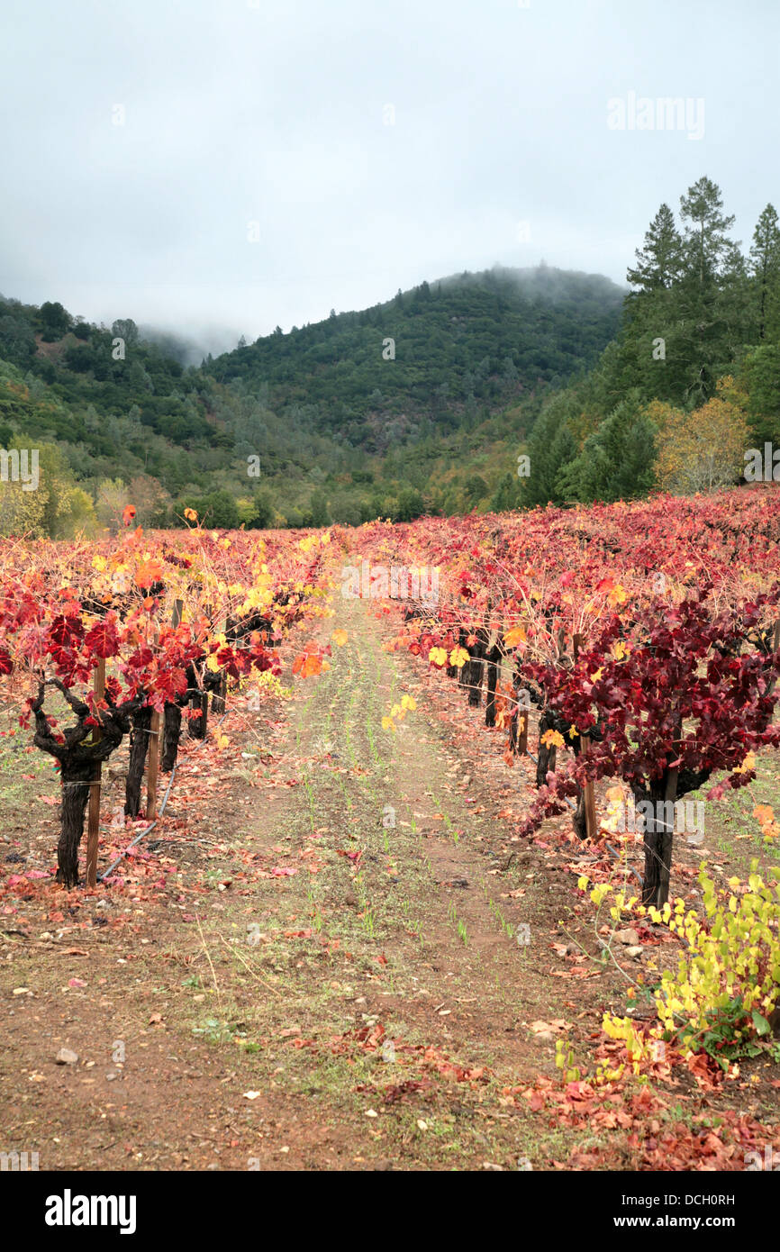 Napa fall hi-res stock photography and images - Alamy