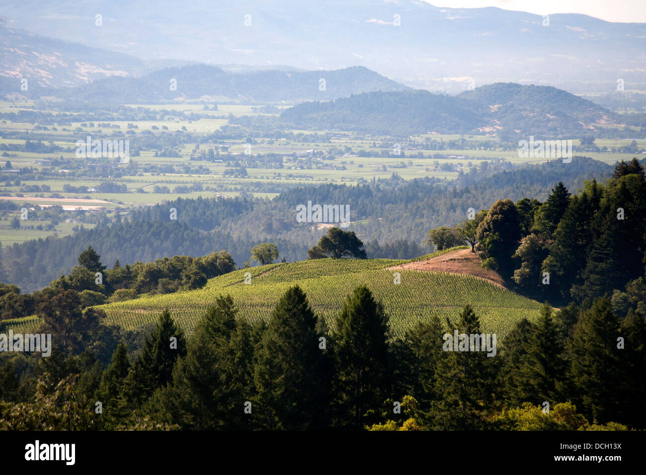 Napa Valley Vista Stock Photo - Alamy