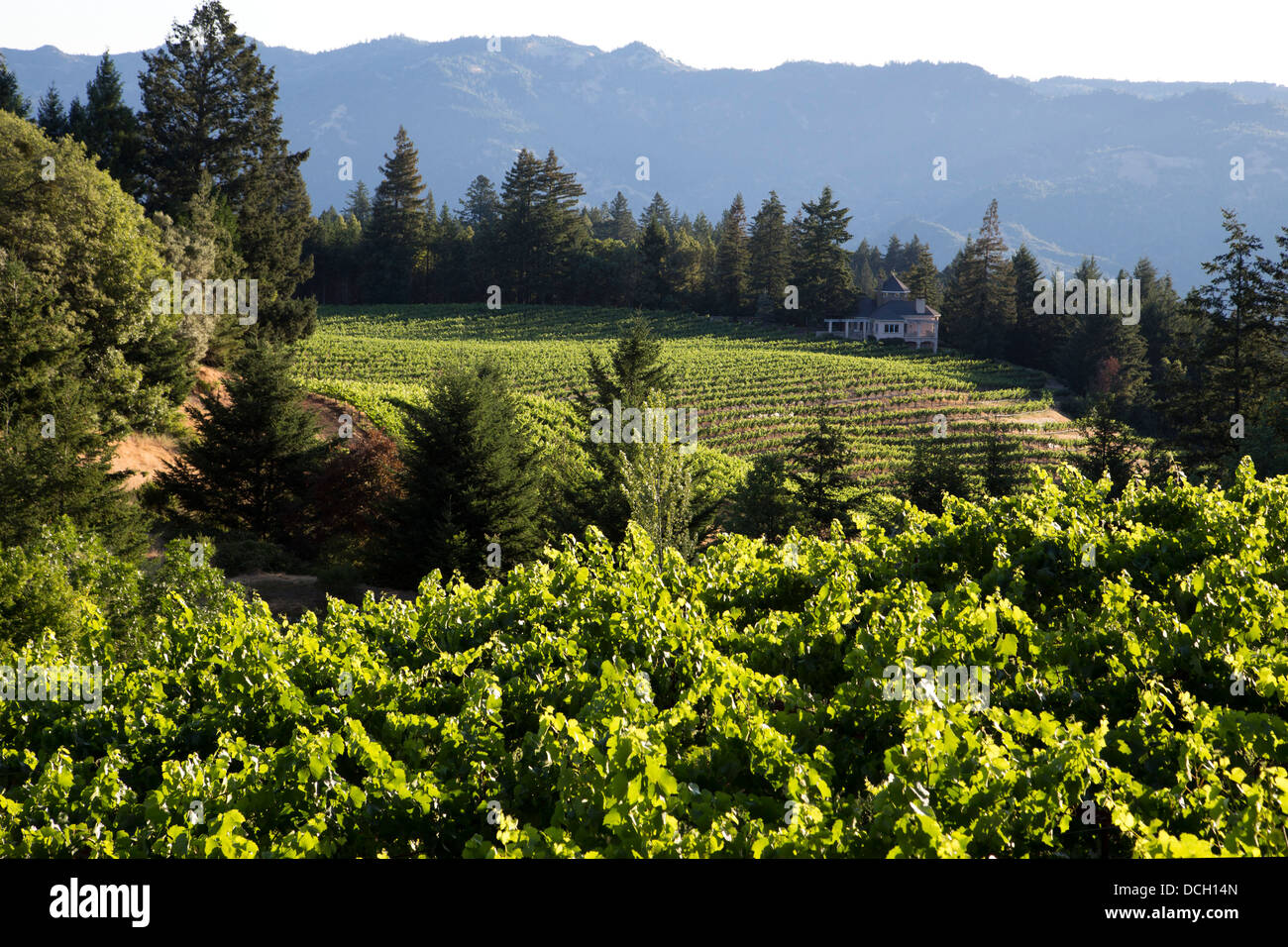 Spring mountain road hi-res stock photography and images - Alamy