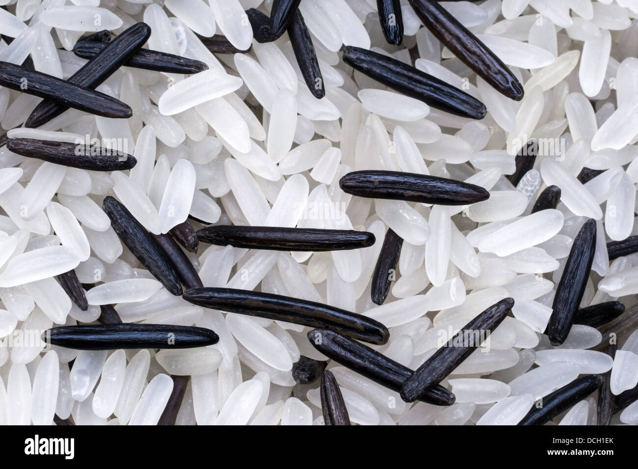 wild rice and the white rice close-up Stock Photo - Alamy