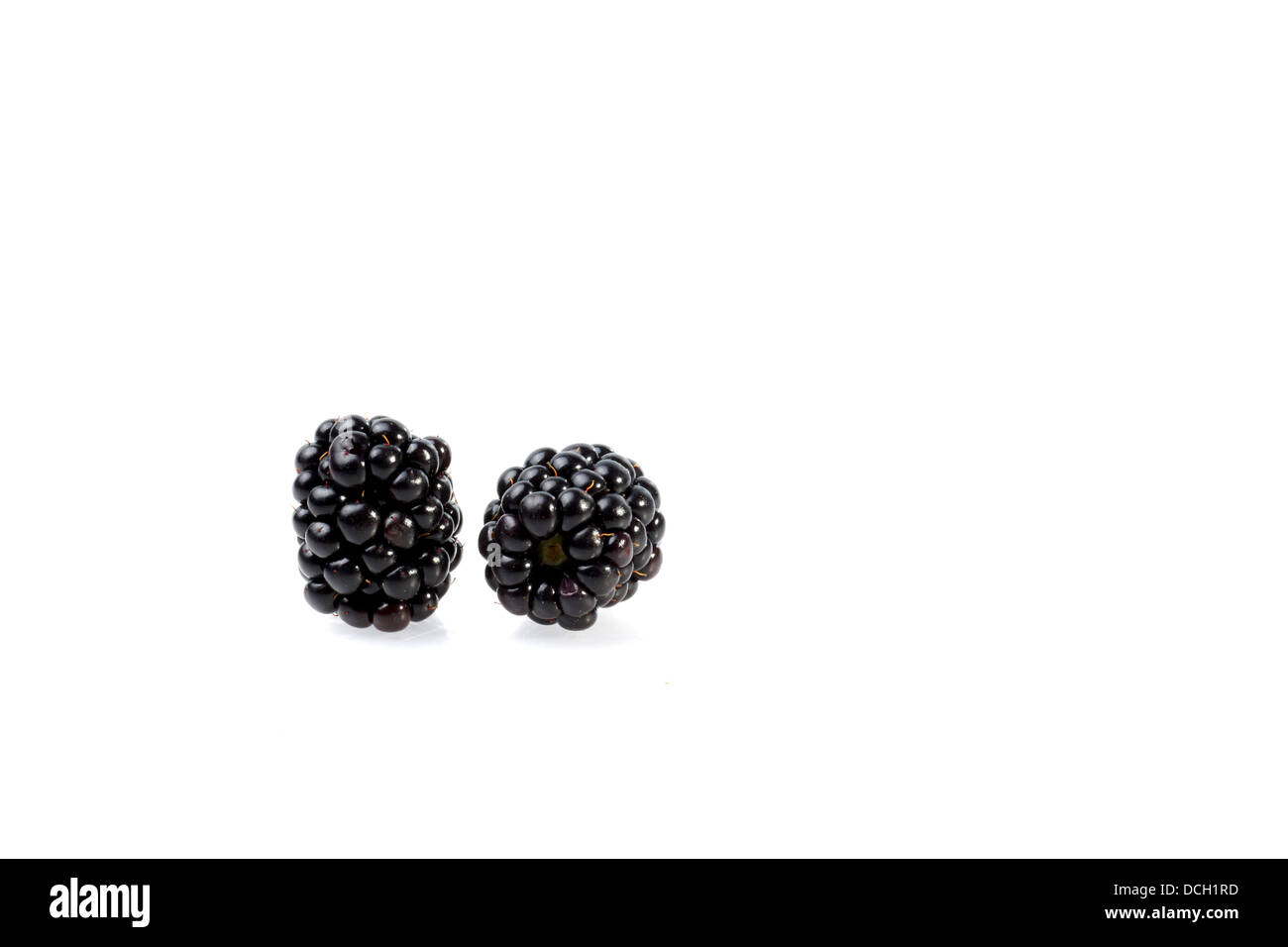 Blackberry image hi-res stock photography and images - Alamy