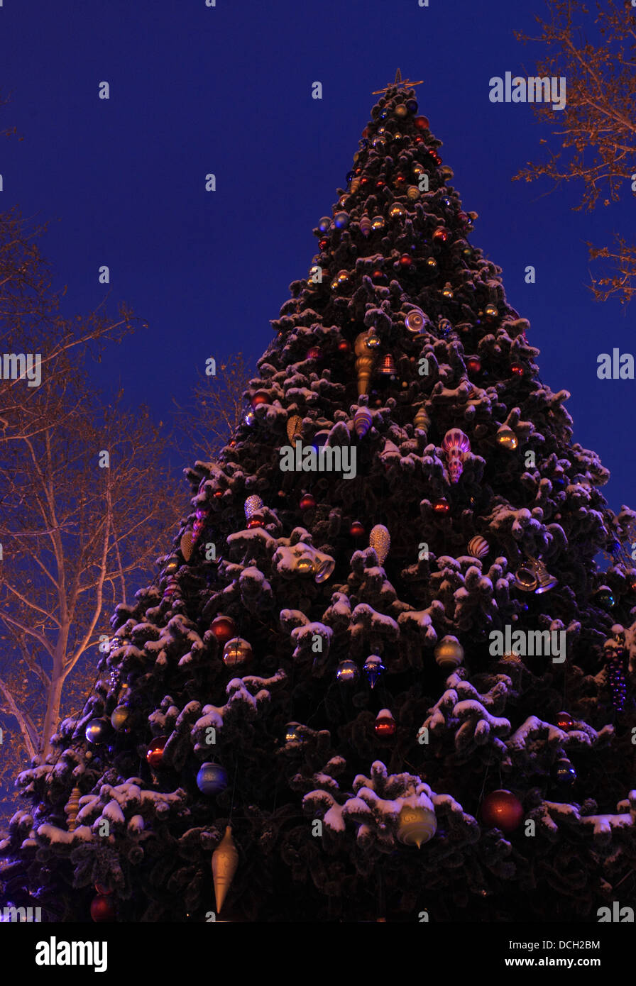 Christmas tree at night Stock Photo - Alamy