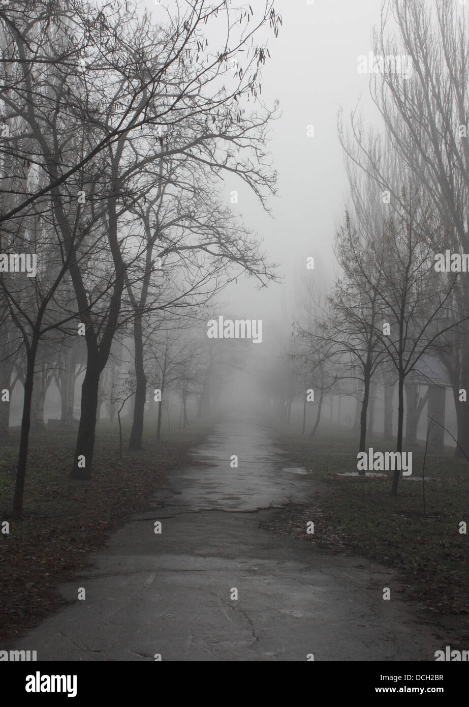 pedestrian path at foggy weather Stock Photo - Alamy
