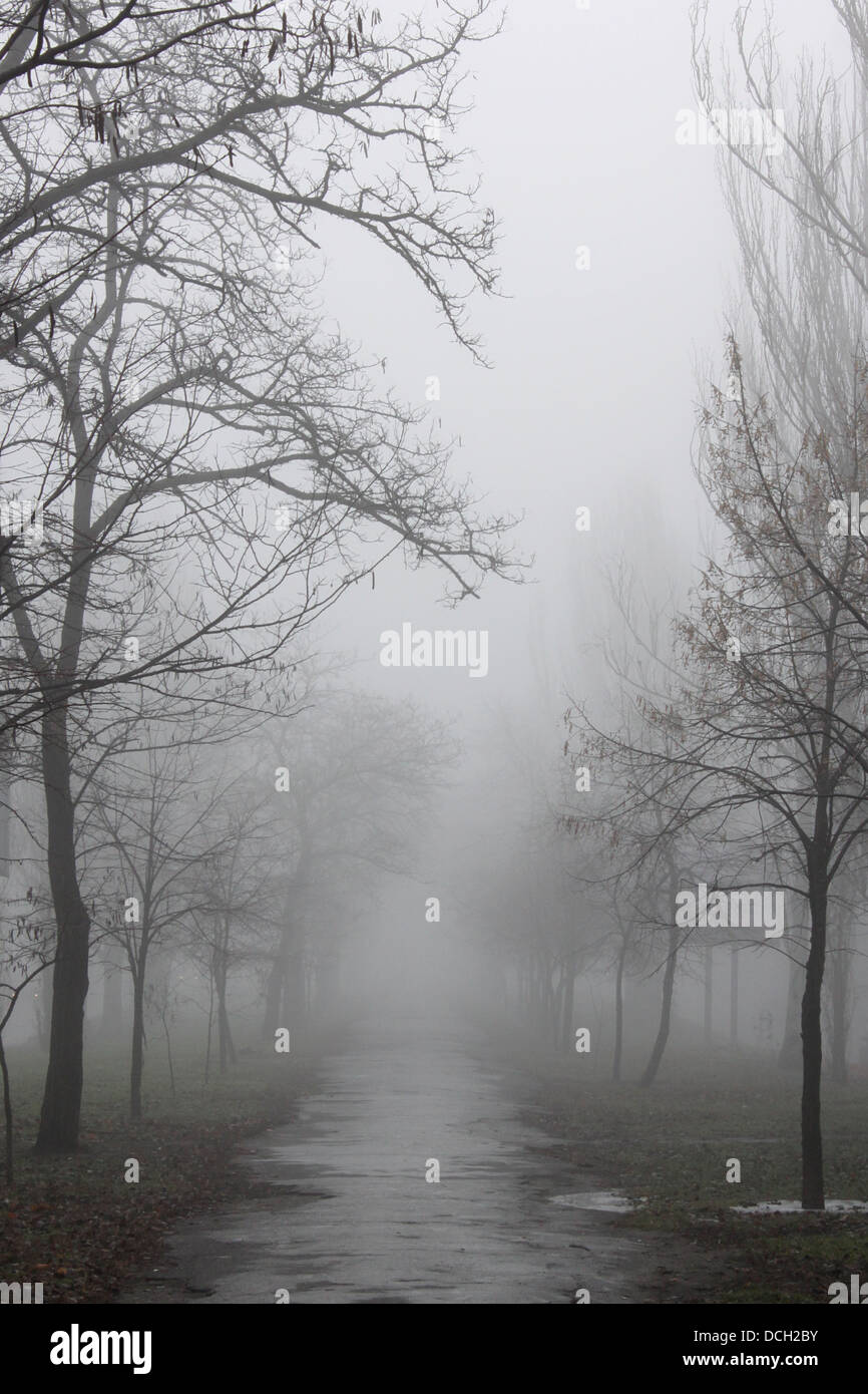 pedestrian path at foggy weather Stock Photo - Alamy