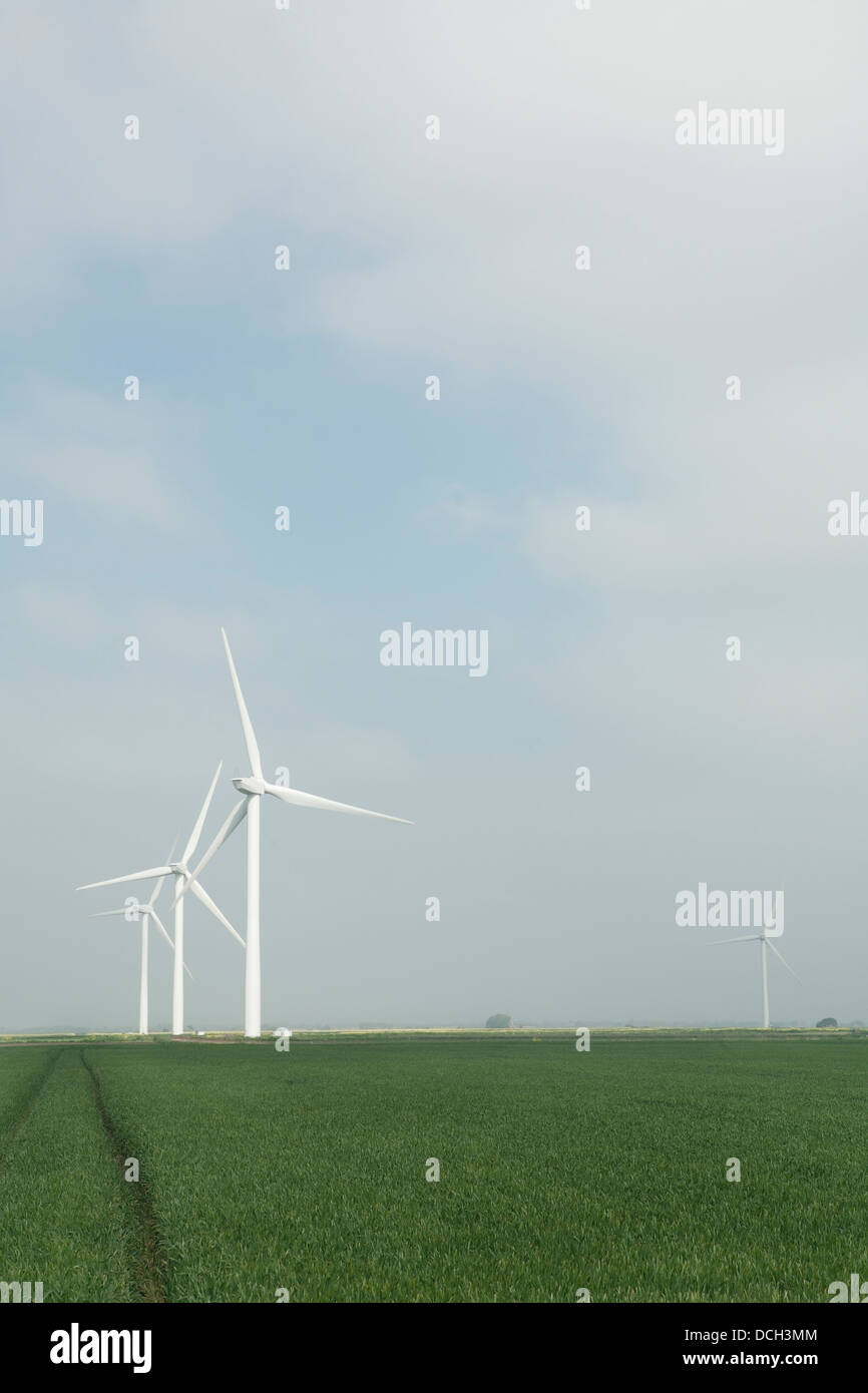 landscape shots of windmill farm near chatteris set in the ...