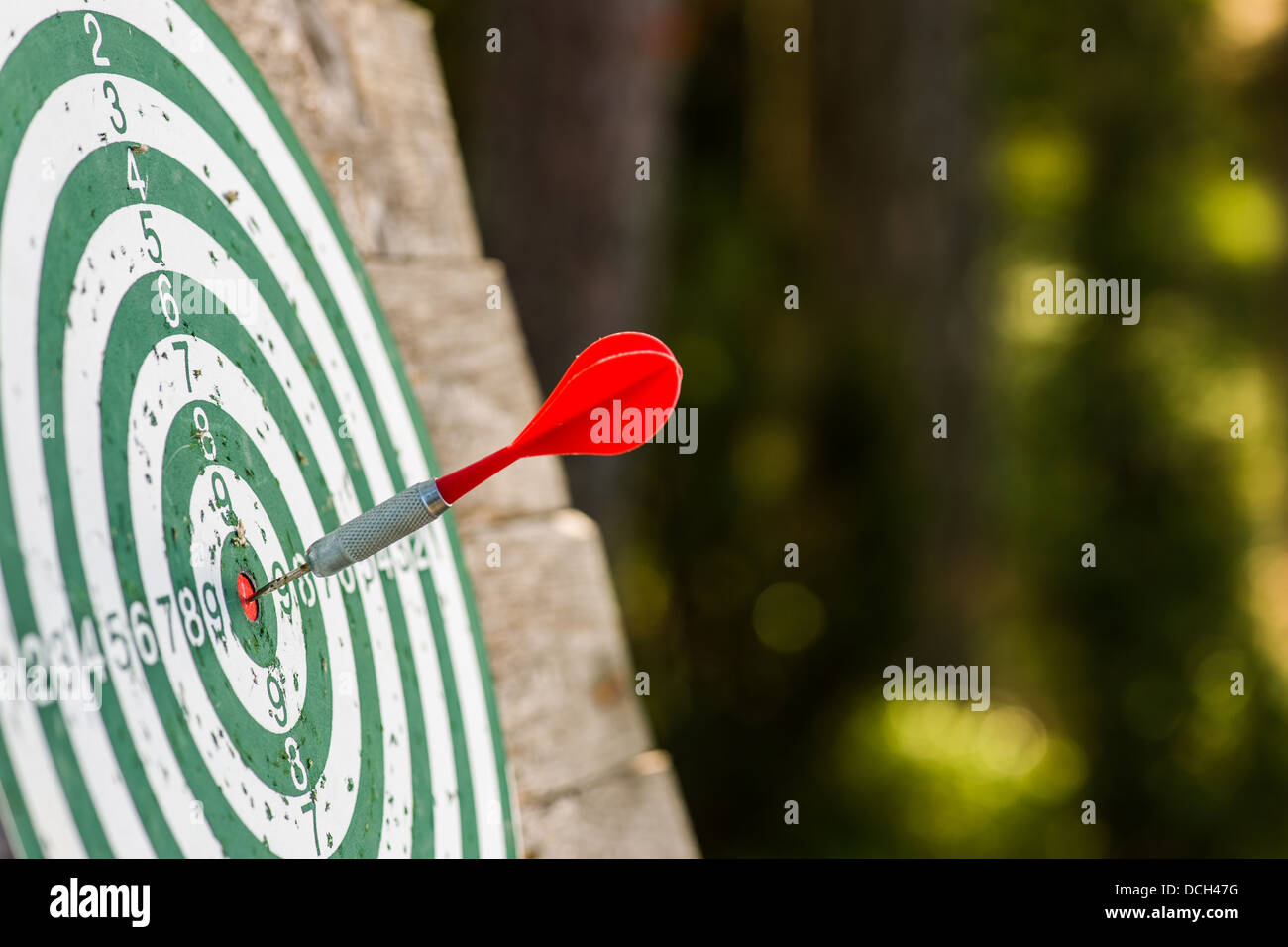 Red dart hits bull's eye of the dartboard Stock Photo - Alamy