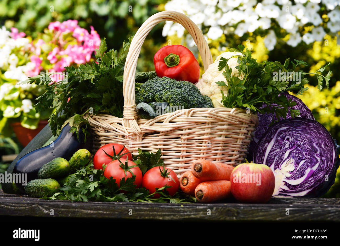 Assorted vegetables in the garden Stock Photo - Alamy