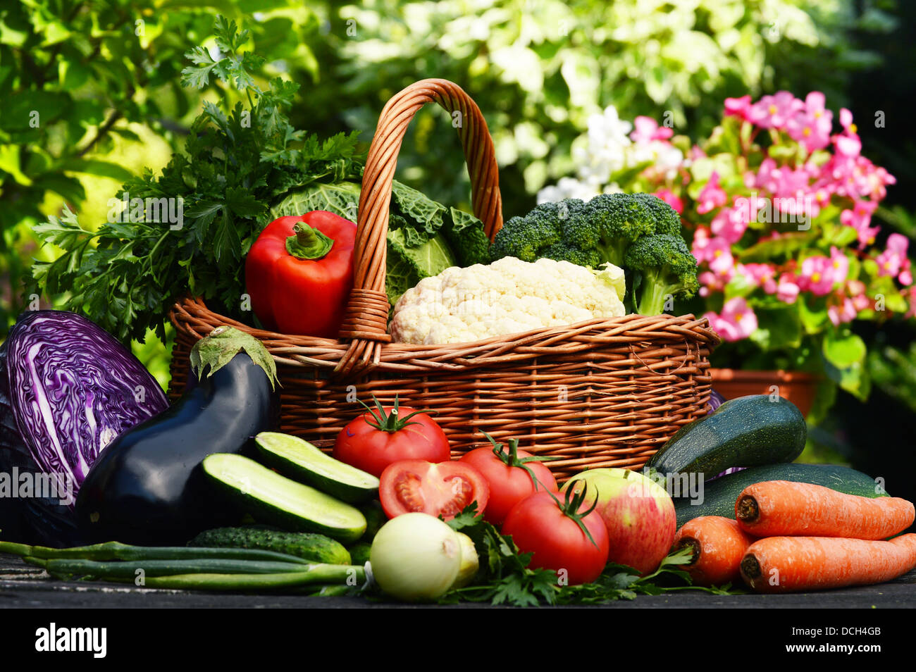 Assorted vegetables in the garden Stock Photo - Alamy