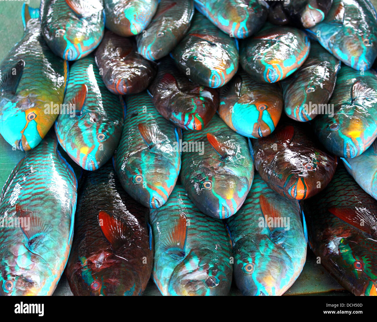 Fish kitchen counter hi-res stock photography and images - Alamy