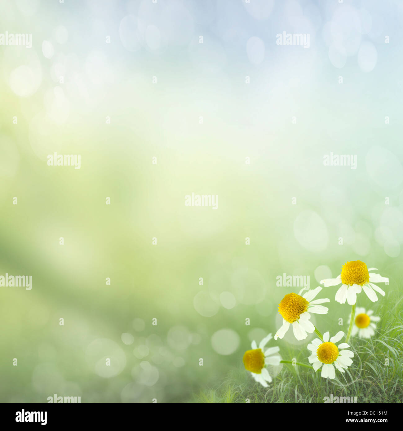 Fresh Spring bokeh background Stock Photo - Alamy