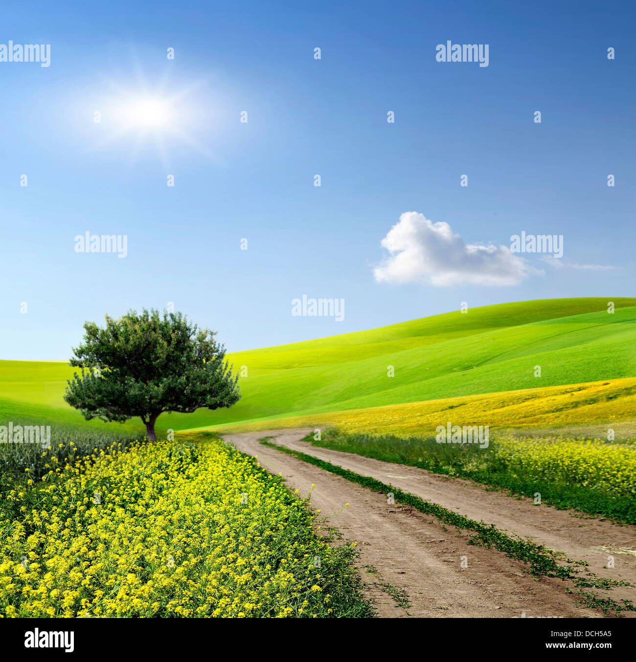 Cloud field hi-res stock photography and images - Alamy