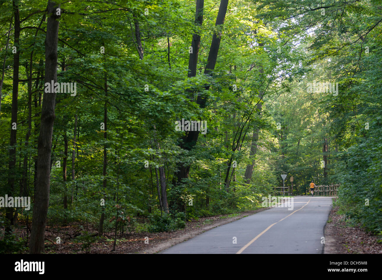 A landscape colour image of a running path in a city park with man ...