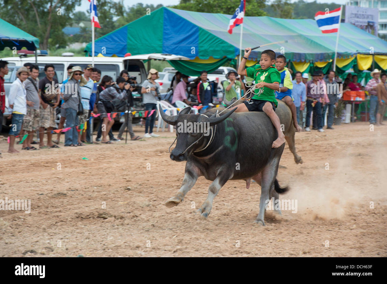 Images from a Buffalo Racing Festival held in Chonburi Province ...