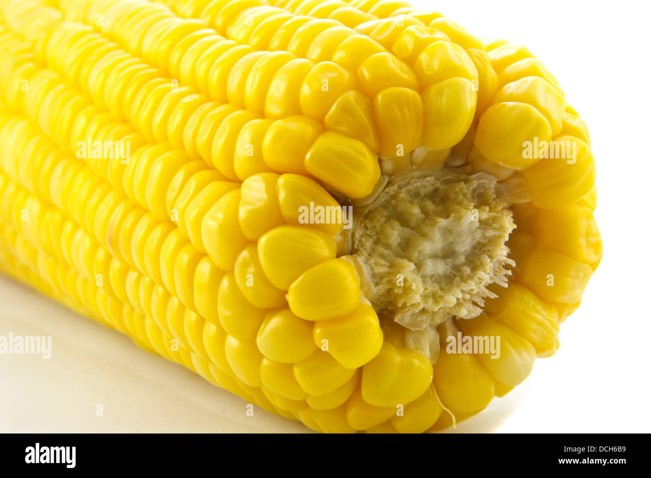 No shell hi-res stock photography and images - Alamy