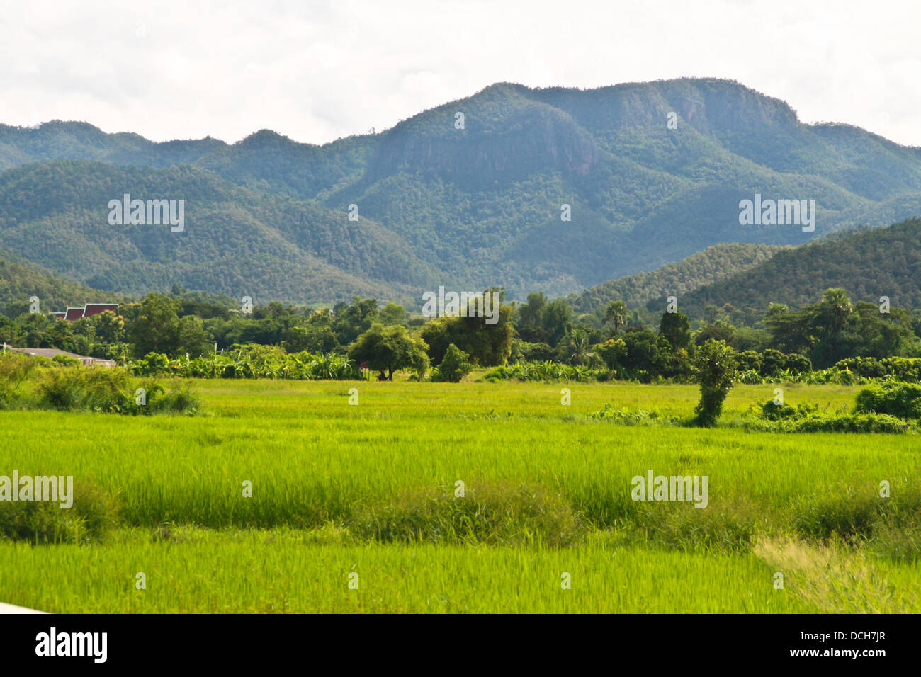 Rural mountain hi-res stock photography and images - Alamy