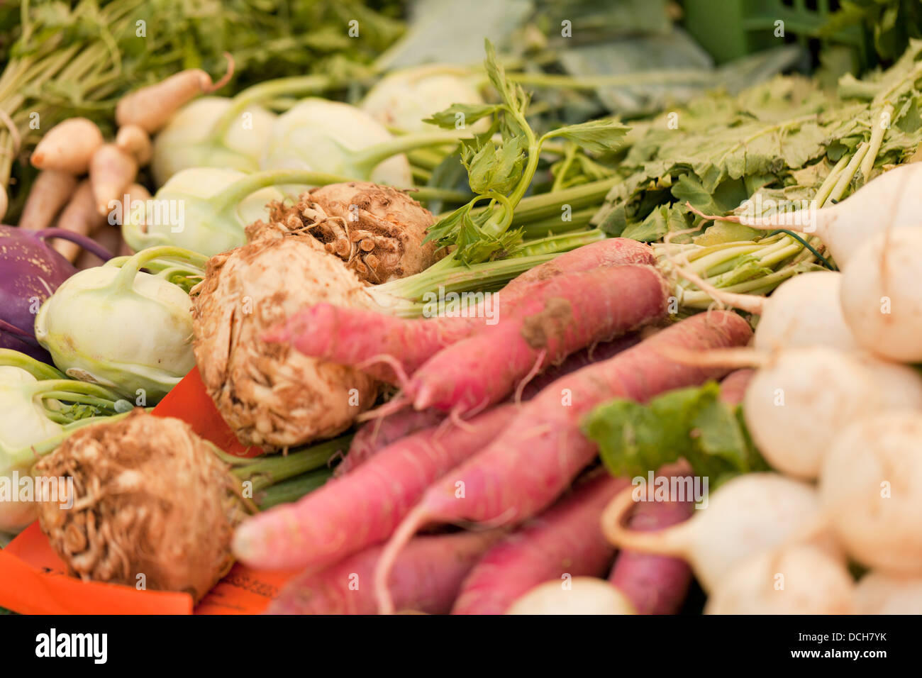 Purple potato vegetable root closeup hi-res stock photography and ...