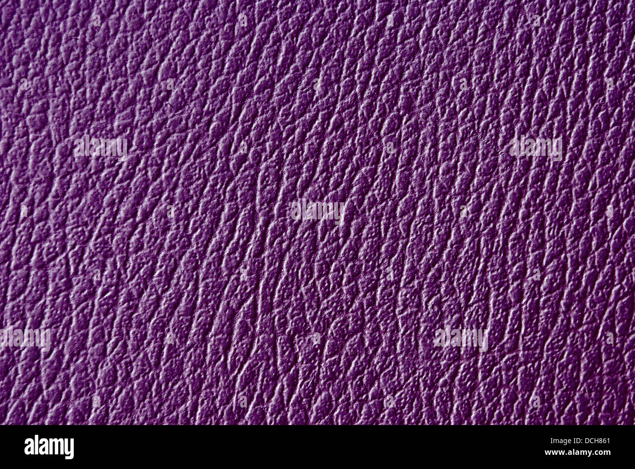 Violet or purple synthetic colored or tinted leather texture or ...