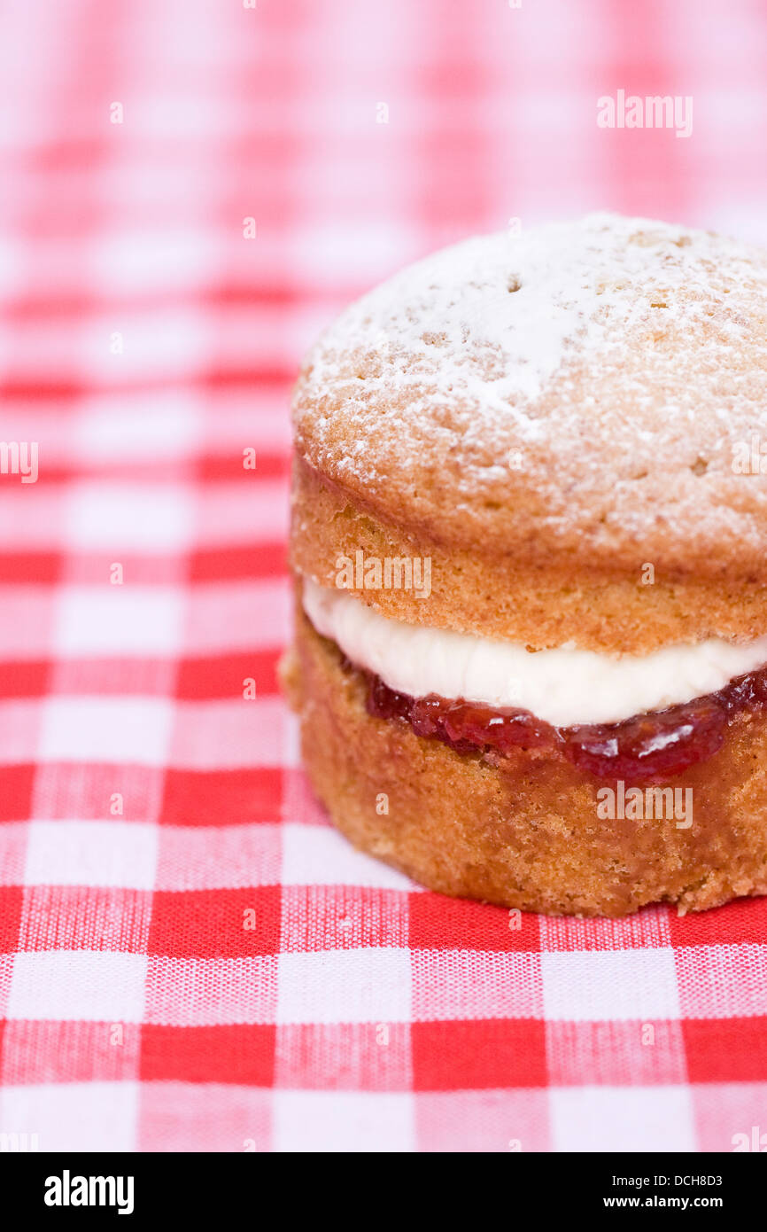 Homemade mini Victoria sandwich cake on a checked background Stock ...