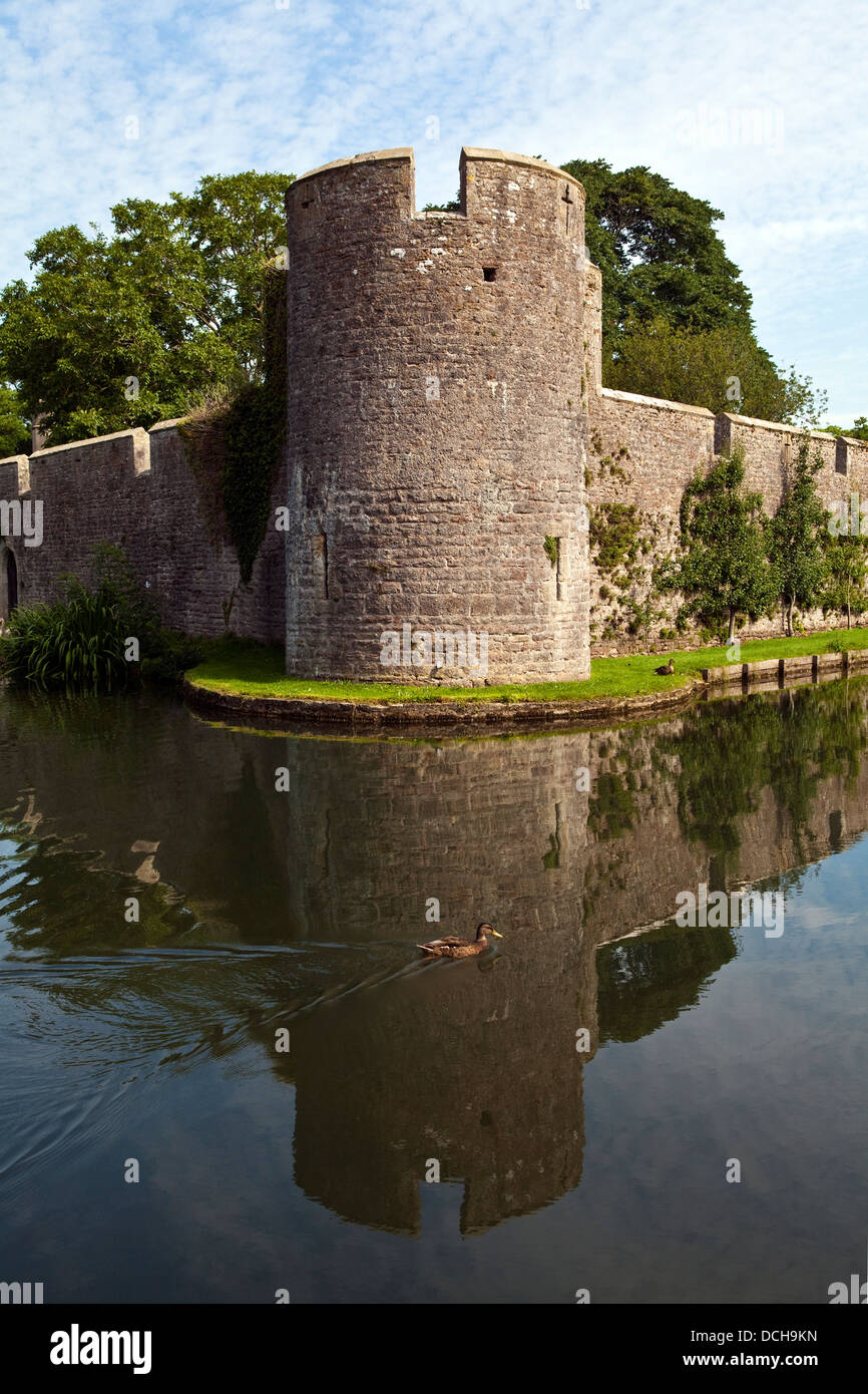 Bishops Palace Wall Moat Wells High Resolution Stock Photography and ...