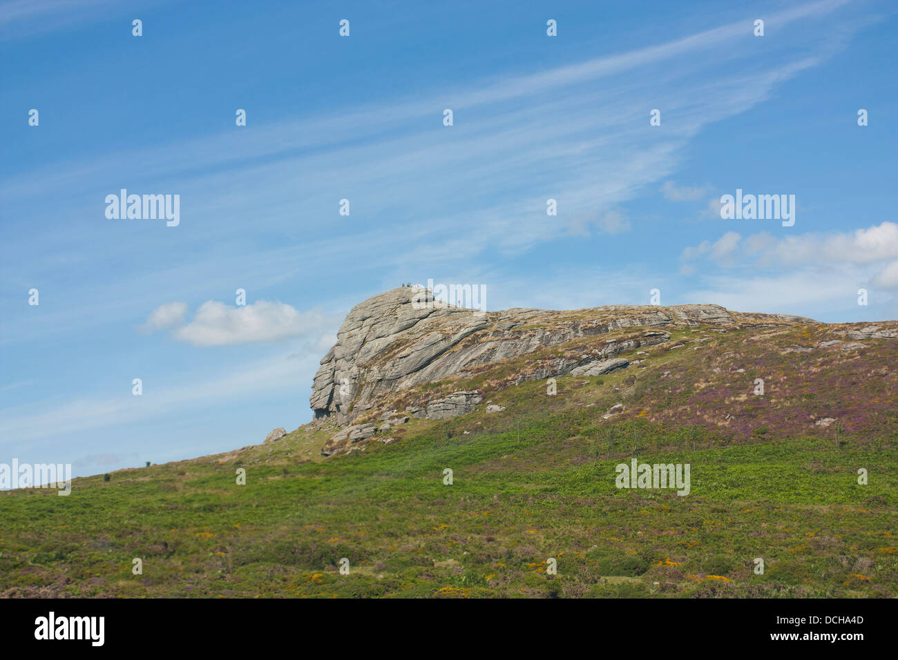 tourist attraction in south devon in the uk called haytor rock Stock ...