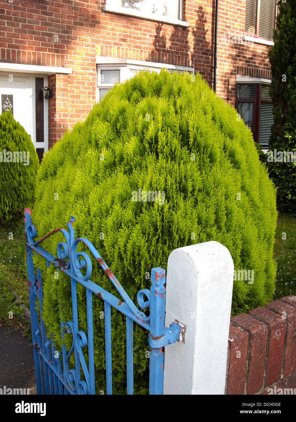 Overgrown garden uk hi-res stock photography and images - Alamy