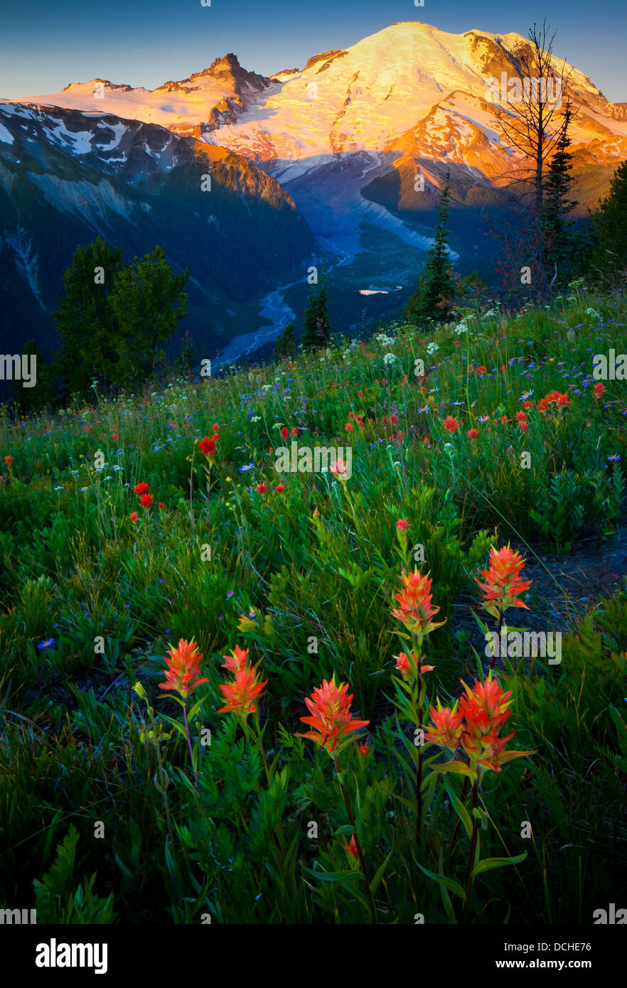 Sunrise at Mount Rainier's Sunrise area with the White River below ...