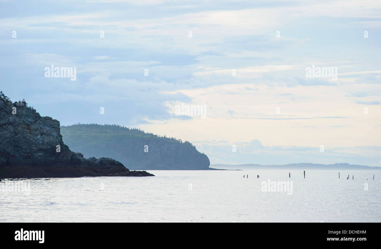 Canada grand manan island hi-res stock photography and images - Alamy