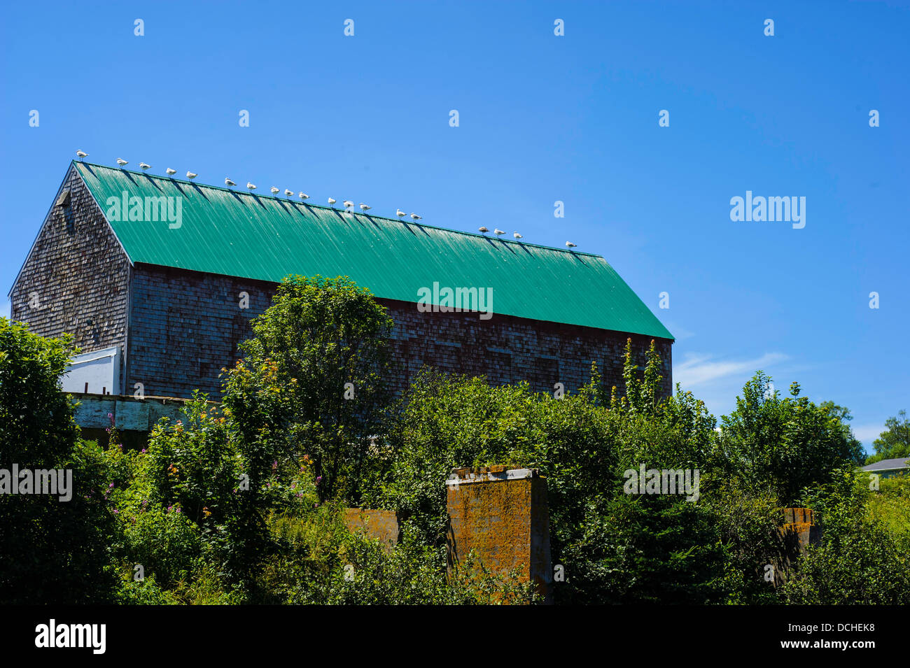 fish smoke shacks on Grand Manan at Seal Cove Stock Photo - Alamy