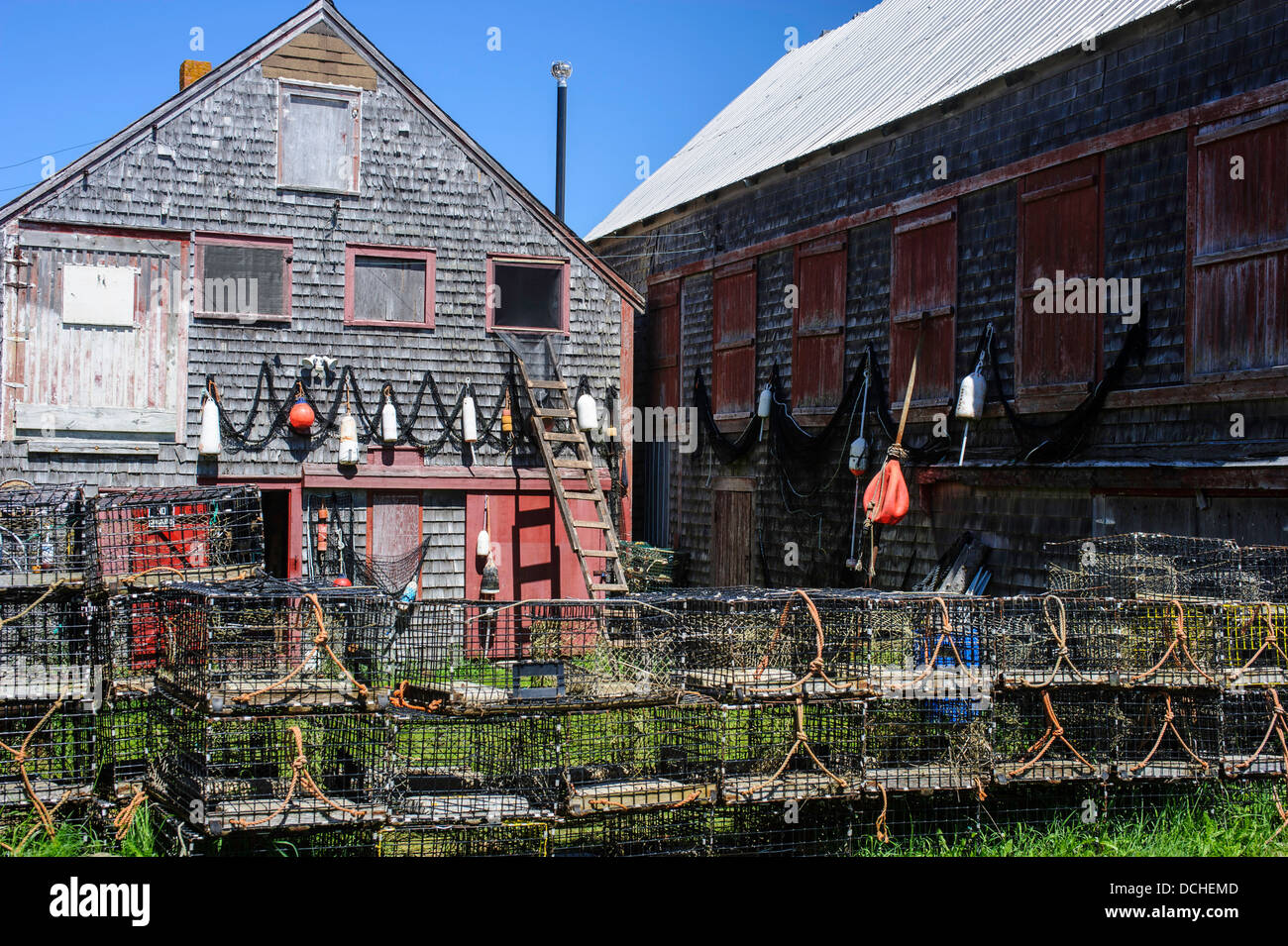 Seal cove grand manan hi-res stock photography and images - Alamy